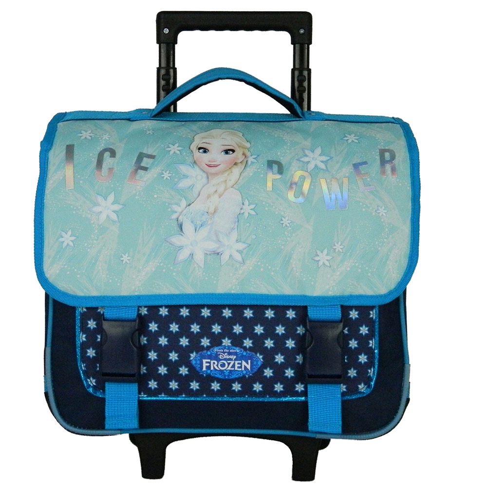 Cartable Ice Pack